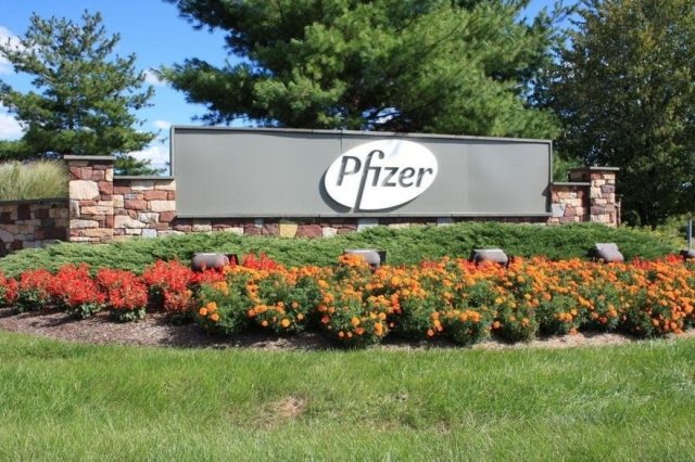 Pfizer busca talento diverso para sus equipos en la región Latam ...
