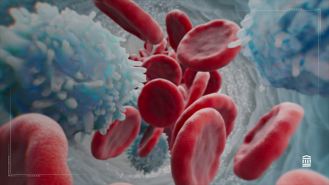 Mieloma múltiple, un tipo de cáncer de médula ósea que aumentó en los ...